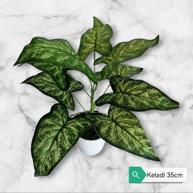 Pokok keladi 45cm artificial plant pokok hiasan bersama pasu | Shopee ...