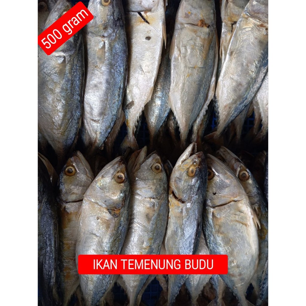 Ikan Kering Tanjung Dawai | Ikan Masin | Ikan Temenung Budu 500g Sedap ...