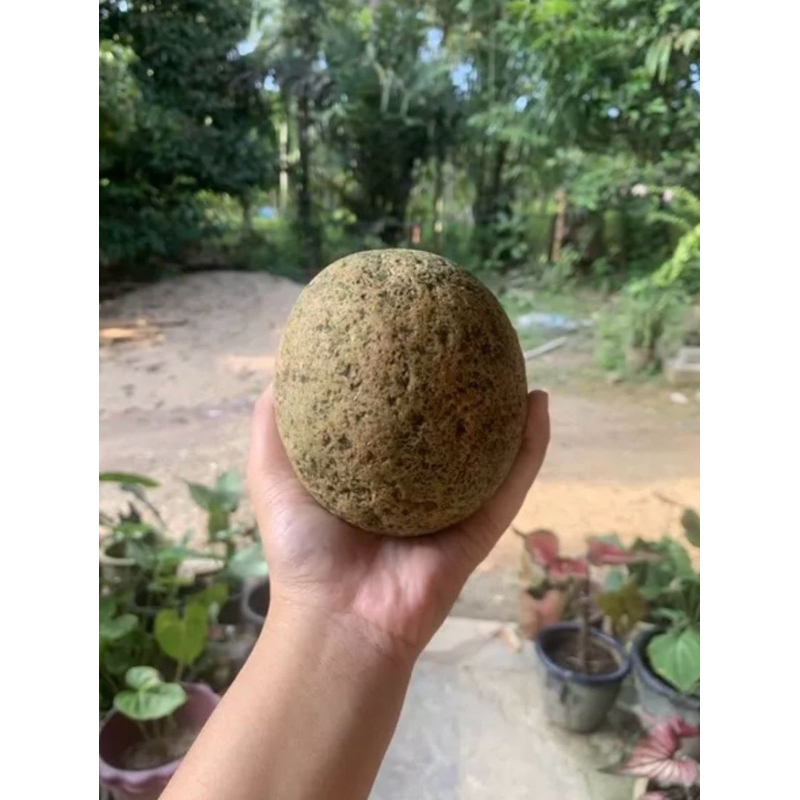 BATU BERTUNGKU SUNGAI (UNTUK IBU BERPANTANG) | Shopee Malaysia