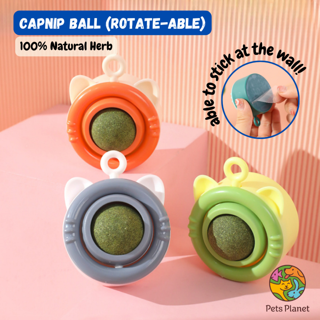 Catnip Ball Rotation | Cat Nip Ball | Cat Nip Mint | Catwort | Cat ...