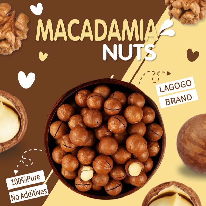 COD Ship Locally🔥Macadamia Nuts With Shell - Free Key Ready-To-Eat ...