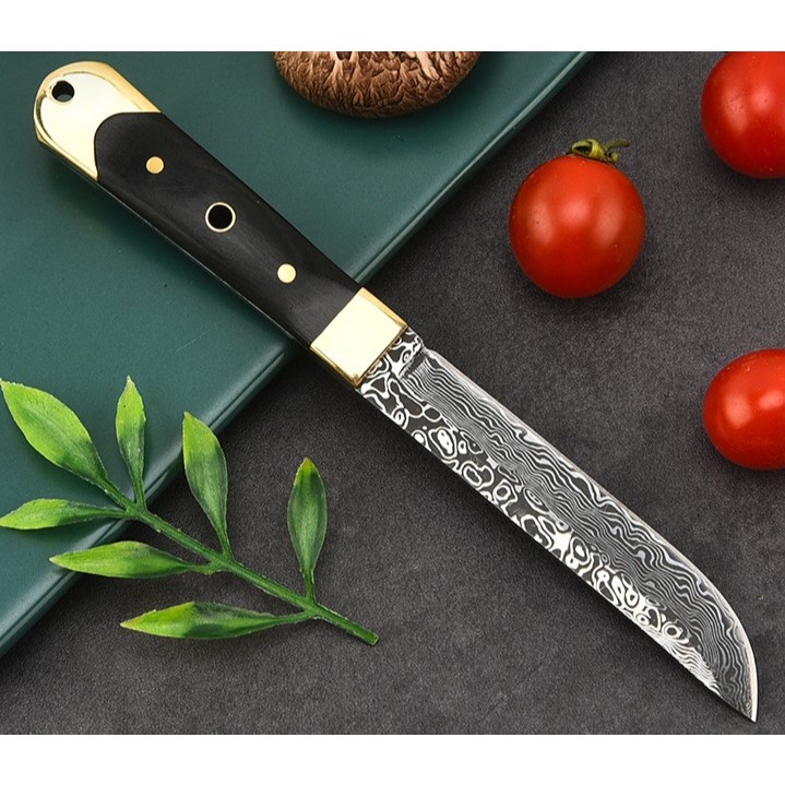 Meat-eating knife, steak knife, stainless steel hand knife, multi ...