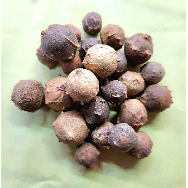 BIJI MANJAKANI / BUAH MANJAKANI (100GRAM) | Shopee Malaysia