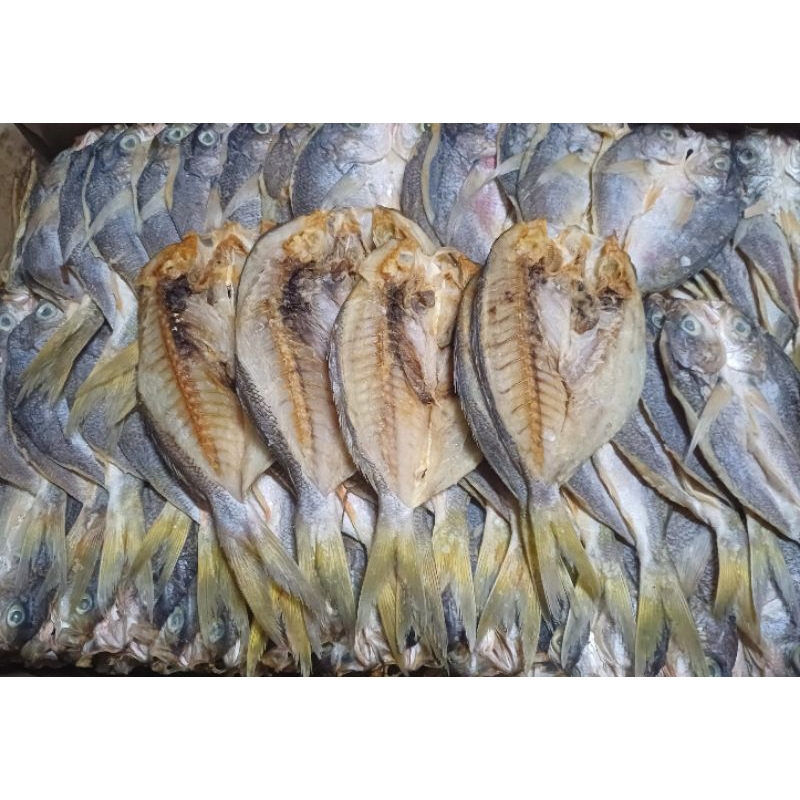 Ikan Masin Sulit Fresh | Shopee Malaysia