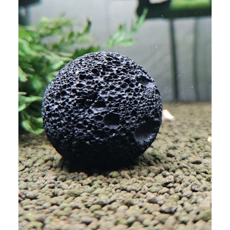 Aquarium Decoration Black Lava rock Ball #Aqurium #Shrimp tank #Aqurium ...