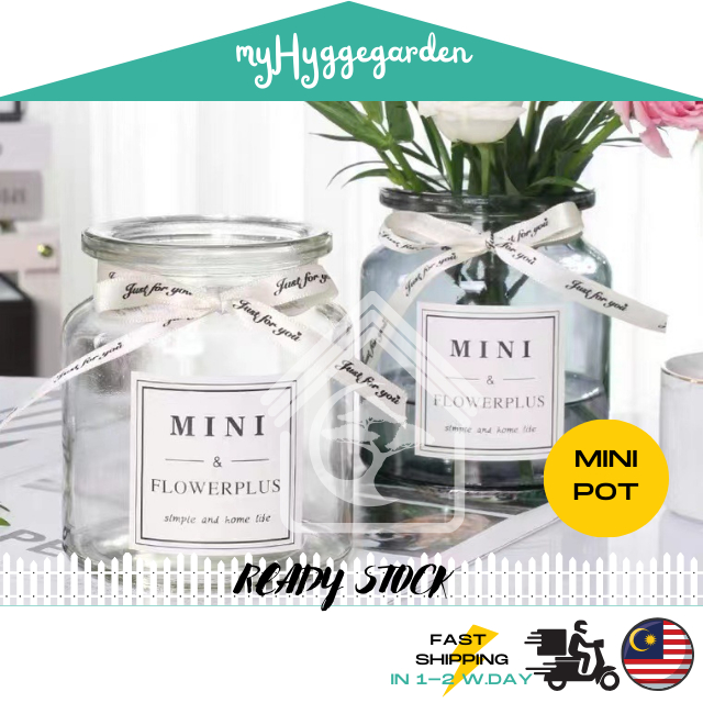 [GLASS] MINI POT Nordic Transparent Home Office Display Deco Flower Dry ...