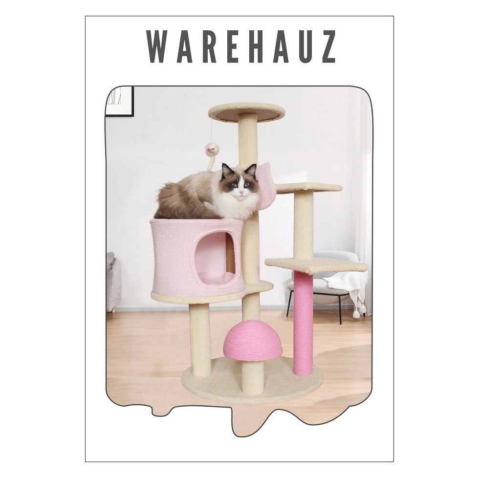 Cat Climbing Post With Nap Area & Adorable Mini Mushroom Wrapped in ...