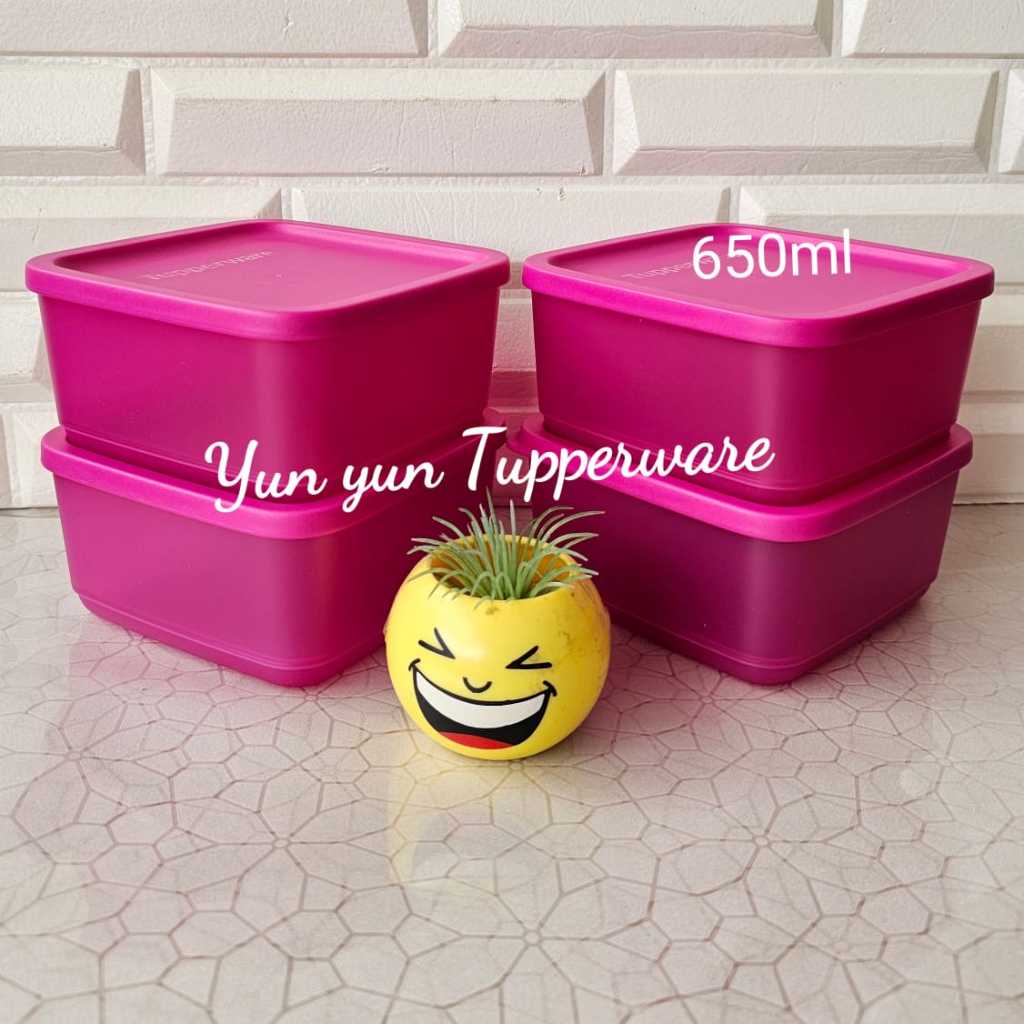Tupperware So Fresh Square 650ml (2 PCS / 4 PCS) | Shopee Malaysia