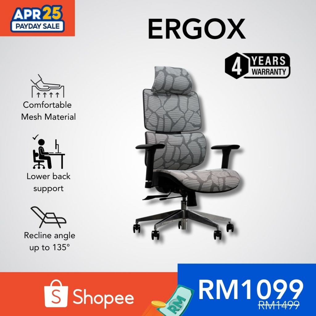 EVIS Ergonomic Chair Mesh Material Ultimate Breathable Comfort ErgoX ...
