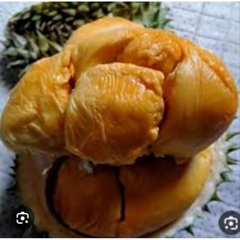 Durian Jawi Super (Baka kahwin) | Shopee Malaysia