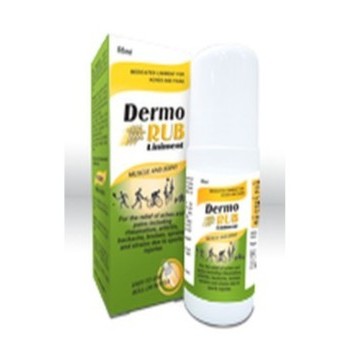 DERMO RUB ROLL ON 55ml (LINIMENT MUSCLE & JOINT) EXP 12/2024 | Shopee ...