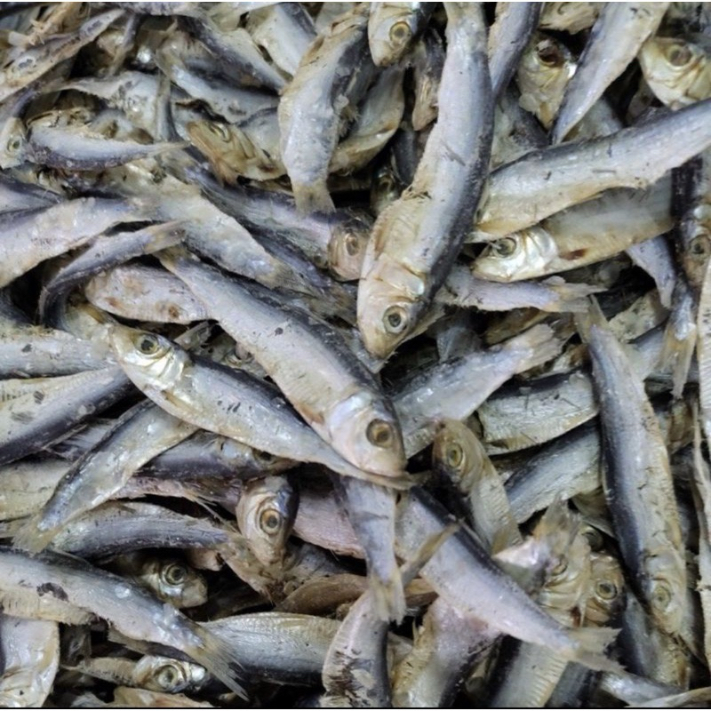 Ikan Tamban Kering Masin pek 1kg | Shopee Malaysia