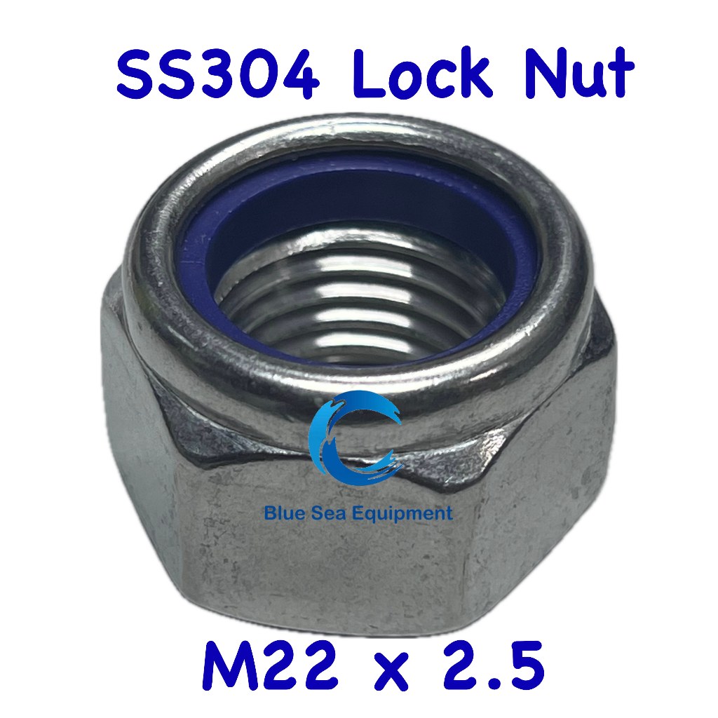 Stainless Steel 304 Hex Hexagon Lock Nut M22 x 2.5 Pitch | Shopee Malaysia