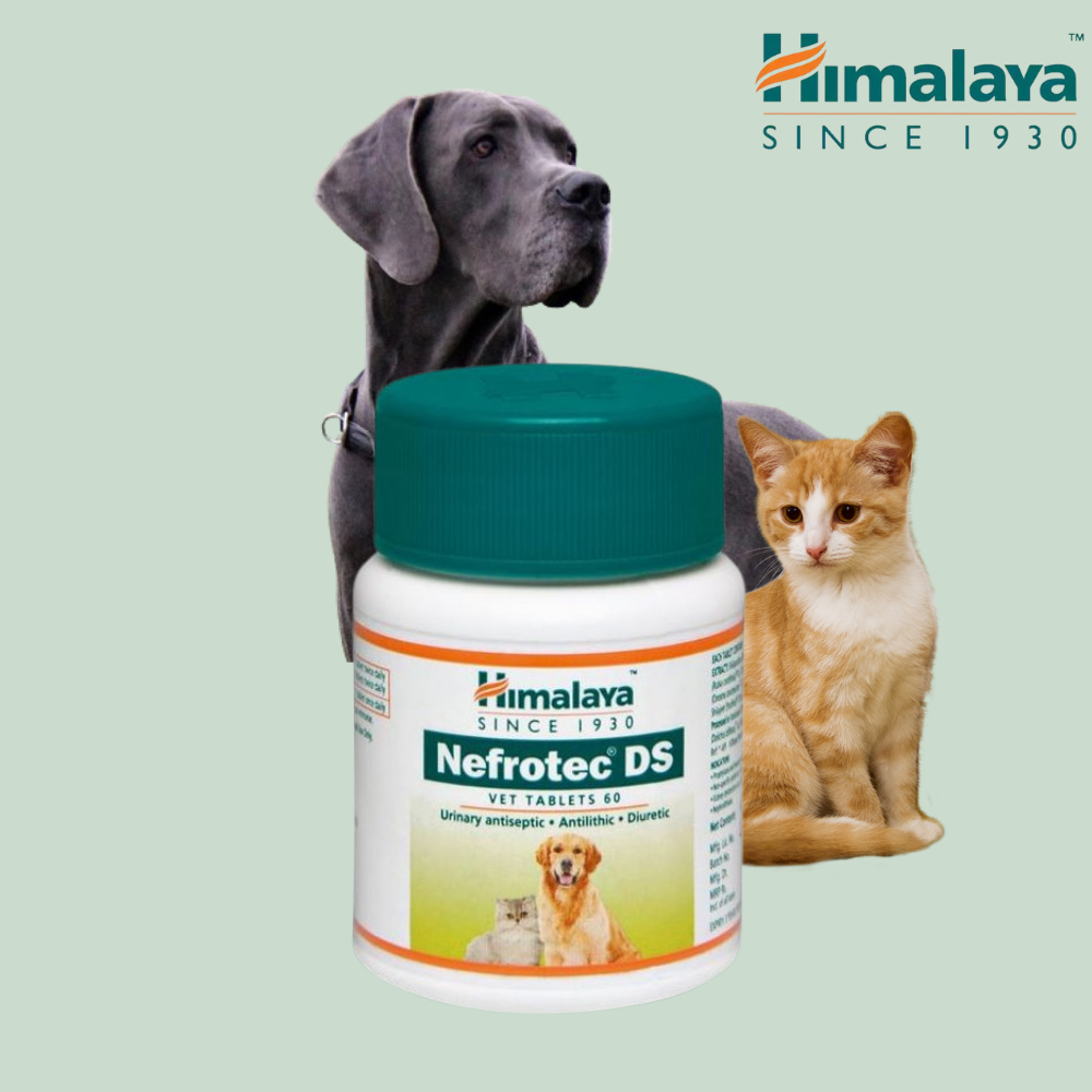 Himalaya Nefrotec DS Vet 60 Tablets | Shopee Malaysia