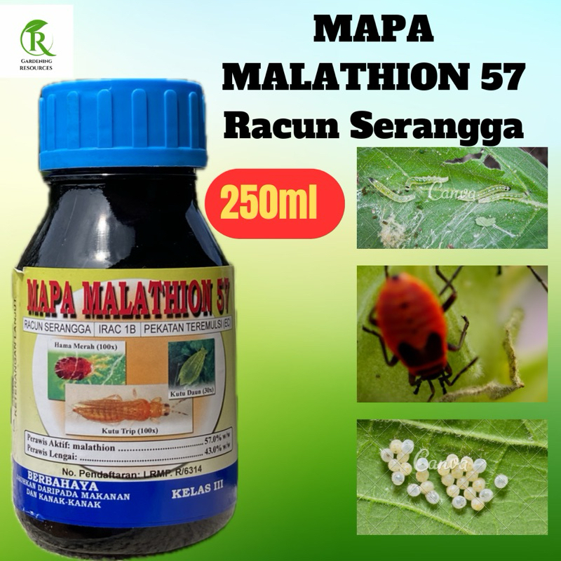 Hextar Mapa Malathion 57 Insecticide Racun Serangga 250ml Untuk Kutu ...
