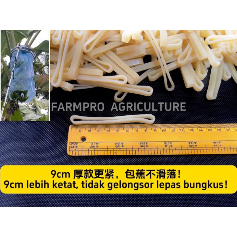 Latex Rubber Band 9cm for Banana Wrapping Tool / 9cm乳胶圈 -套袋器专用/ Getah ...