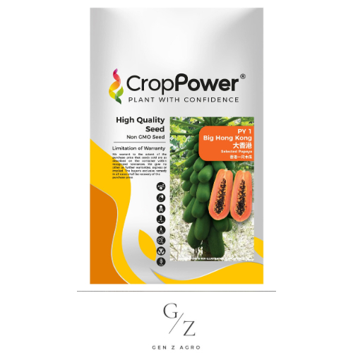 (100 seeds / 300 seeds / 10g) Crop Power PY 1 Big Hong Kong Selected ...