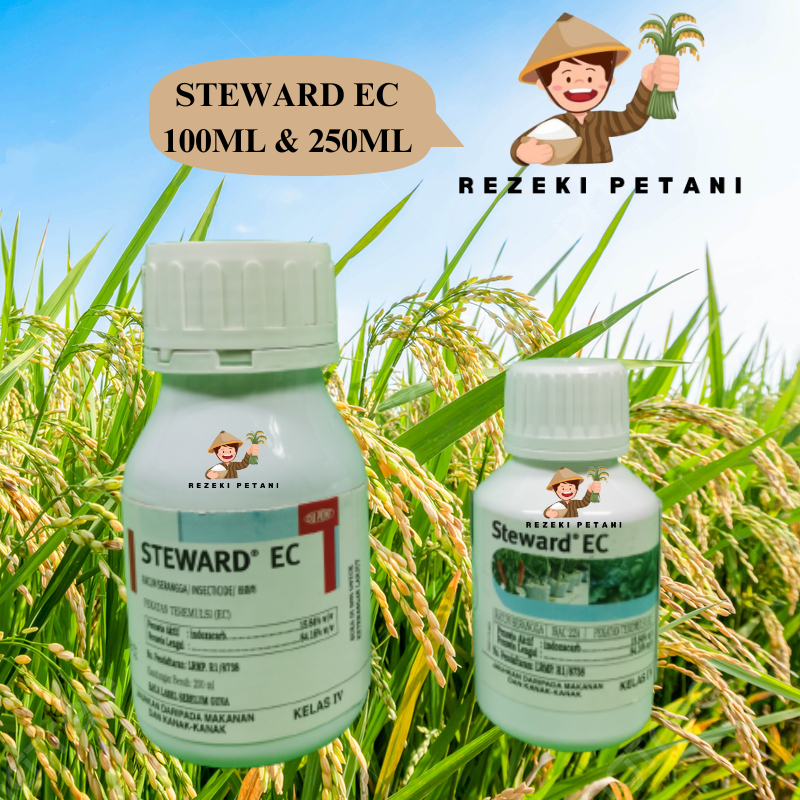 [ORIGINAL] 100ML 250ML STEWARD EC FMC RACUN SERANGGA / RACUN ULAT ...