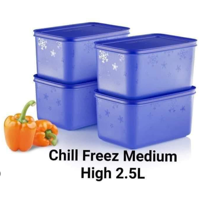 {OFFER HEBAT 4PC} TUPPERWARE CHILL FREEZE MEDIUM 2.5L / FREEZERMATE FM ...