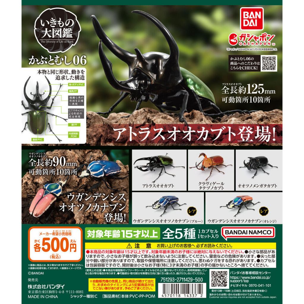 [Bandai] Ikimono Daizukan Kabutomushi Beetle 6 甲虫日本扭蛋 - Gashapon ...