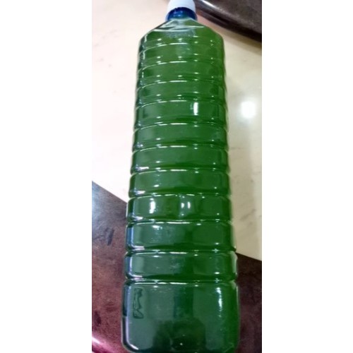 Chlorella Starter/Baja Chlorella/Air Hijau Matang/Green Water ...