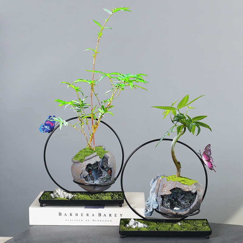 BMC Cross-border lucky bamboo money tree Nandina bamboo rice bamboo ...