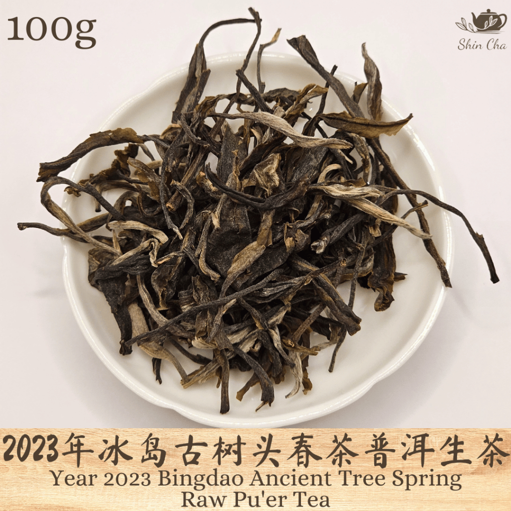 2023年冰岛古树头春茶普洱生茶Year 2023 Bingdao Ancient Tree Spring Raw Pu'er Tea（散茶 古树茶 普洱茶 Loose Tea ...