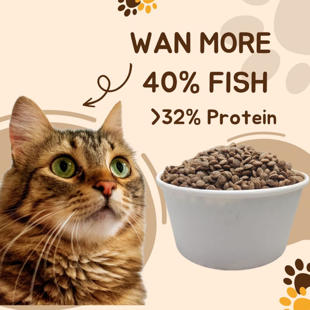 Makanan Kucing 1KG Berkualiti Cat Food Pet Makanan Kucing Murah 猫粮 ...