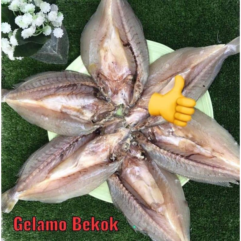 IKAN BEKOK ORI KELANTAN (500G) | Shopee Malaysia