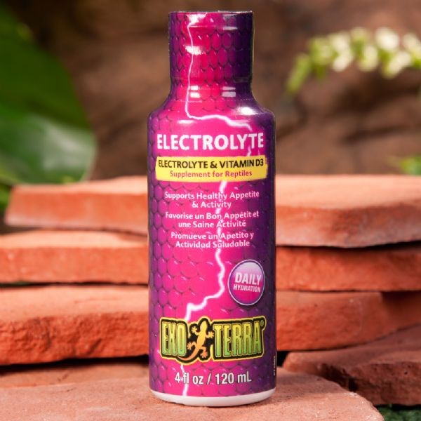 Reptile Electrolyte Exo Terra ELECTROLYTE VITAMIN D3 SUPPLEMENT Calcium ...