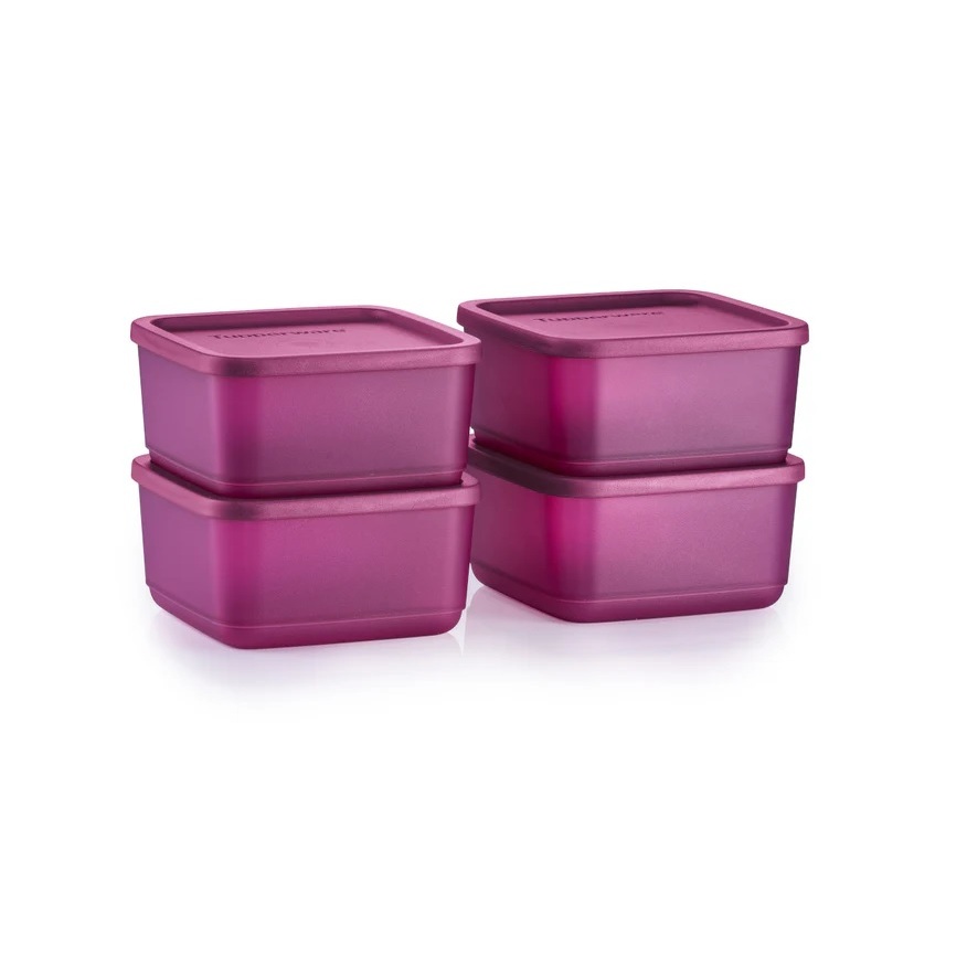 Tupperware So Fresh 650ml Bekas Peti Sejuk Petak dengan Penutup ...