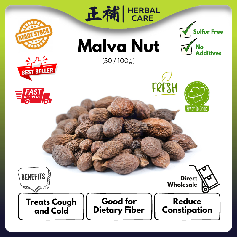 Malva Nut 胖大海 大海子 Biji Kembang Semangkuk Scaphium affine Herbal Care ...
