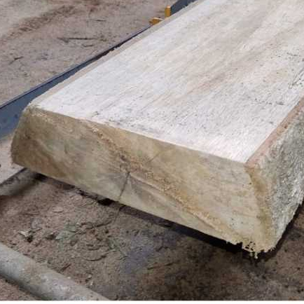 #kayu papan slab 3" x 12" x48"#solid wood slab 3" x 12" x 48"# 原木柴3" x ...