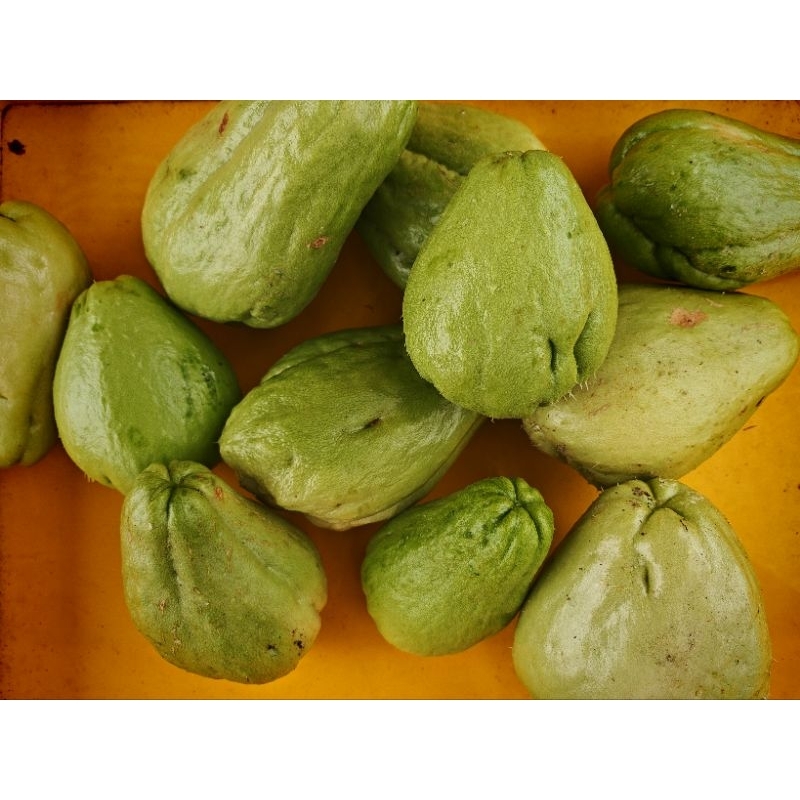LABU SIAM/LABU AIR dari Cameron Highlands[1KG about 2~3 biji] | Shopee ...