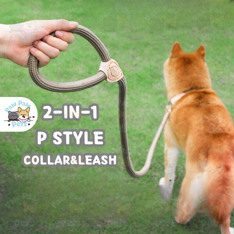 P Style Collar + Leash for Dogs - Long Length and Extra Thick | Shopee ...