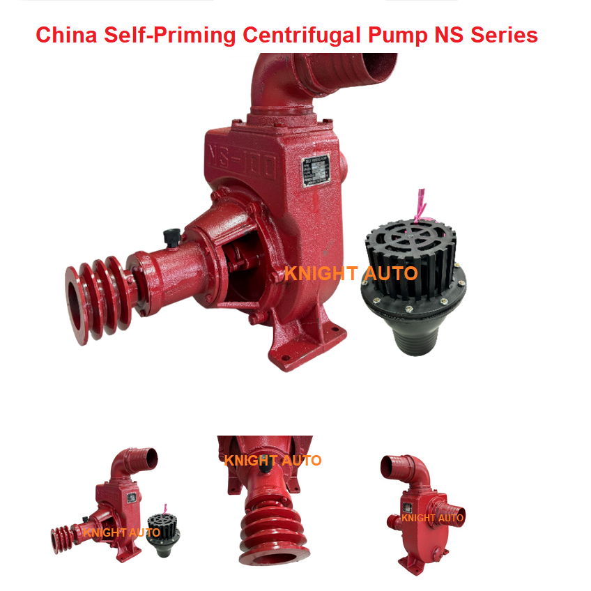 NS-50 / NS-80 / NS-100 NS50 / NS80 / NS100 China Water Self-Priming ...
