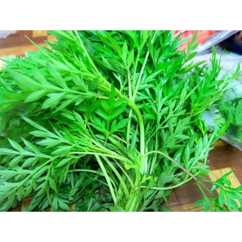 Pucuk ulam raja 1 ikat 50 g | Shopee Malaysia