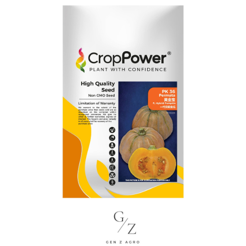 (20g / 50g / 200g) Crop Power PK 36 Permata / Labu Emas / 金瓜 | Shopee ...