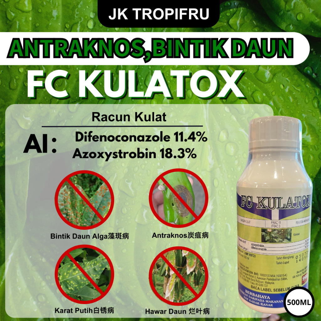 【Bintik Daun Alga/Hawar Daun/Antraknos/Reput Daun烂叶病 炭疽病】FC Kulatox ...