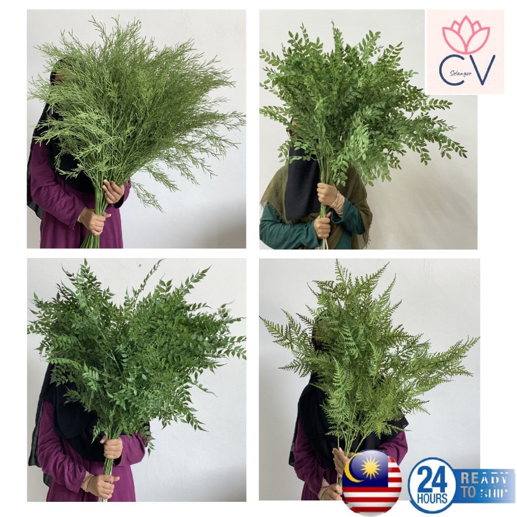 Forest Leaf For Wedding Office Home Decor | Daun Bamboo Jurai Henna ...
