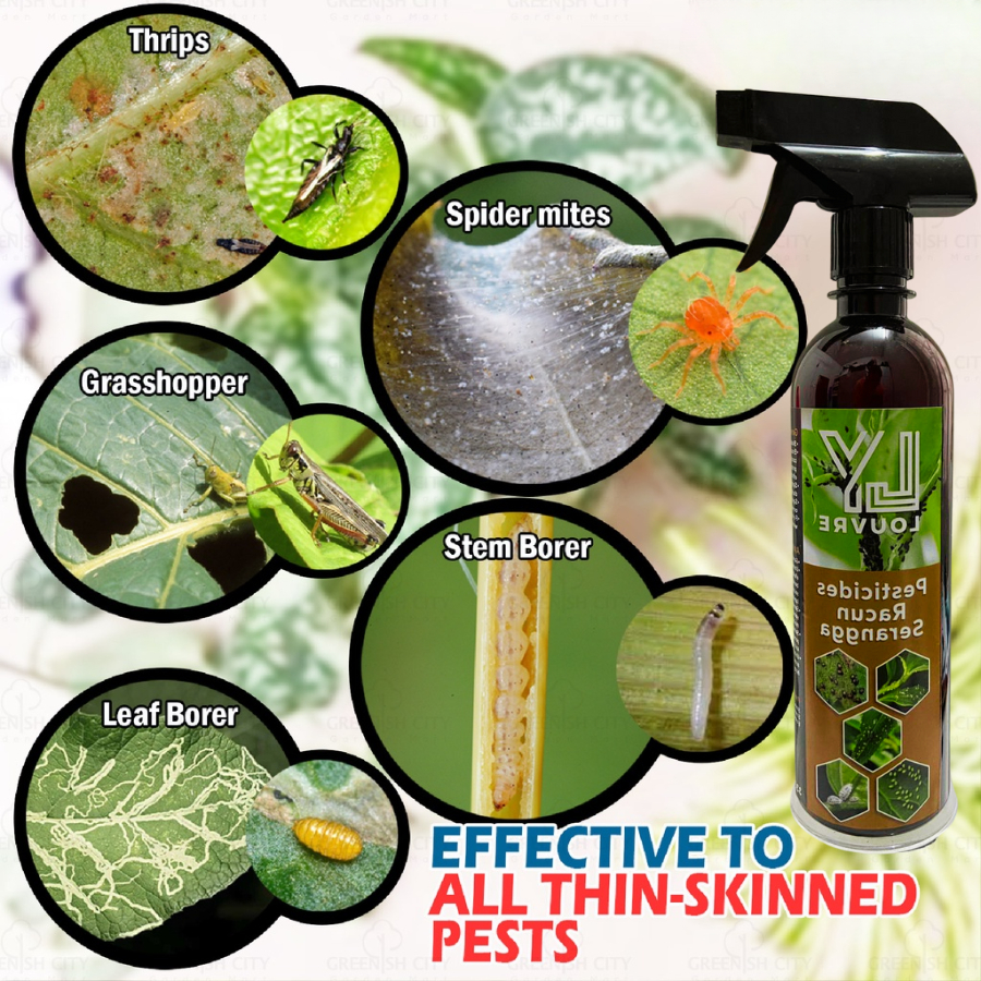 Scale Terminator Natural Pesticide 330ML MealyBug Spray Ubat Serangga ...