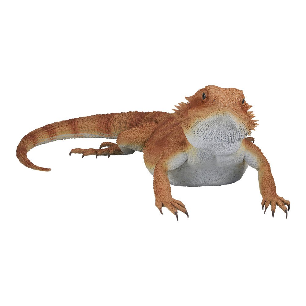 BANDAI Bearded Dragon Figure from Japan NEW | Shopee Malaysia