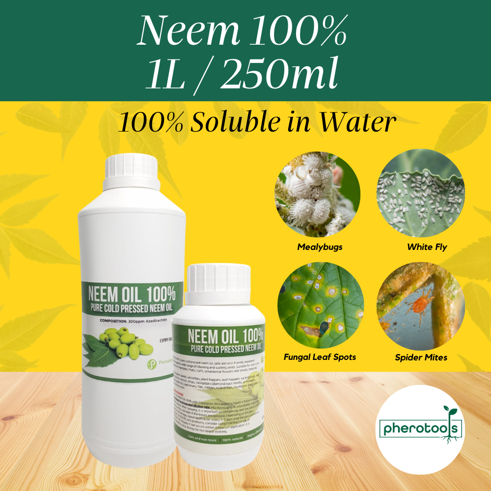 Pherotools NEEM OIL 100% (250ml / 1L) (Pure Cold Pressed Neem Oil) (300ppm) Minyak Neem Garden ...