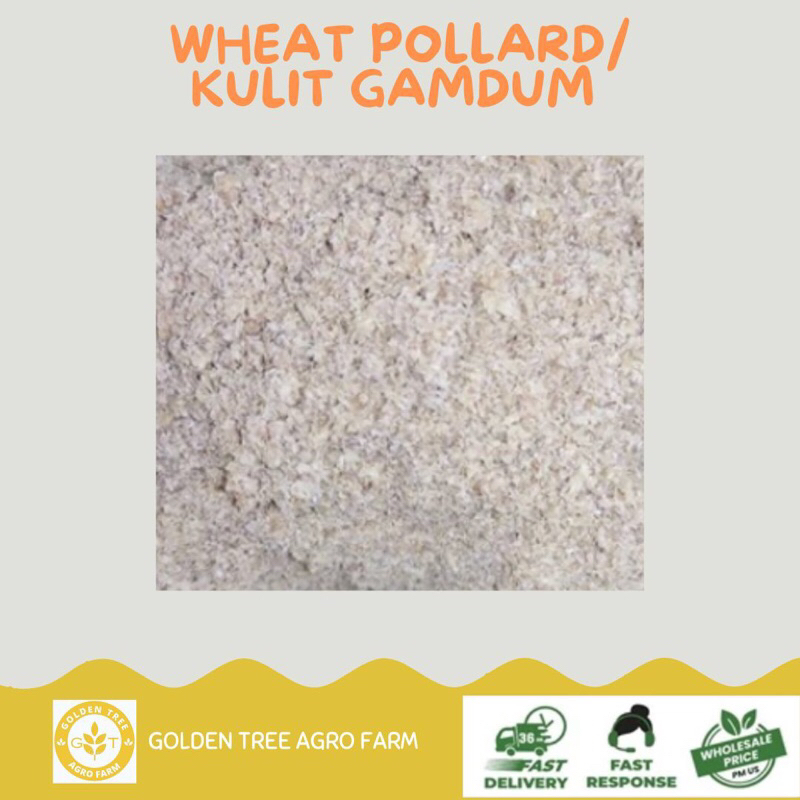 Wheat Pollard/ Kulit Gandum Natural Raw Untuk haiwan Ternakan Dan ...