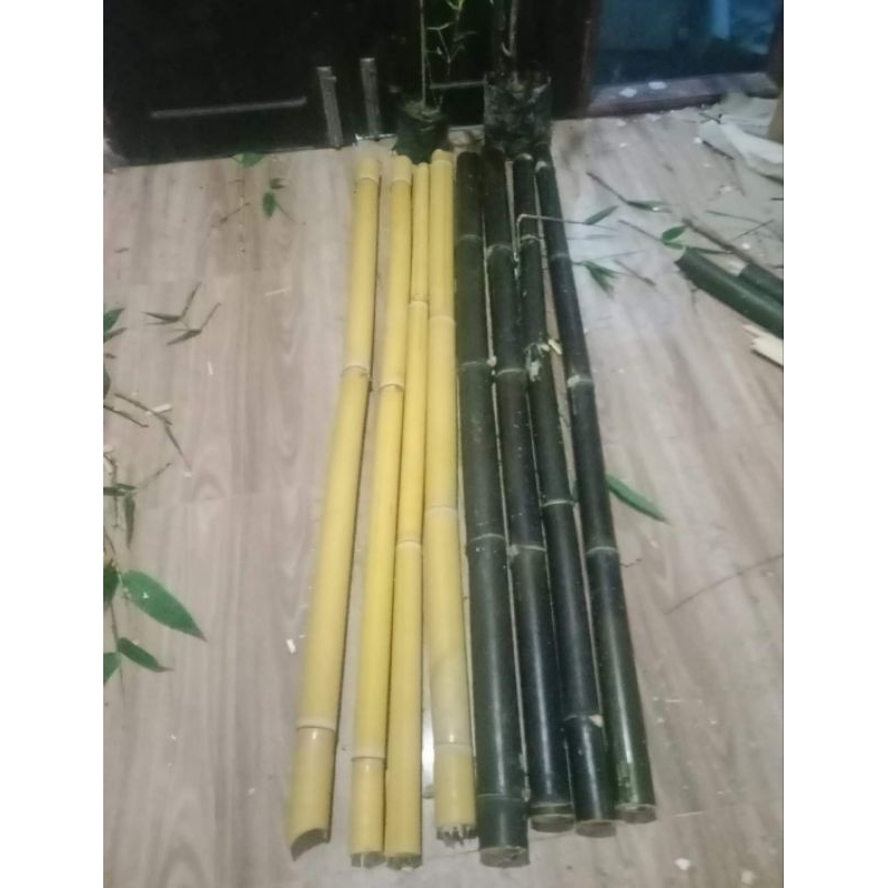 Batang Buluh Kuning / Gading Dan Buluh Hitam | Shopee Malaysia