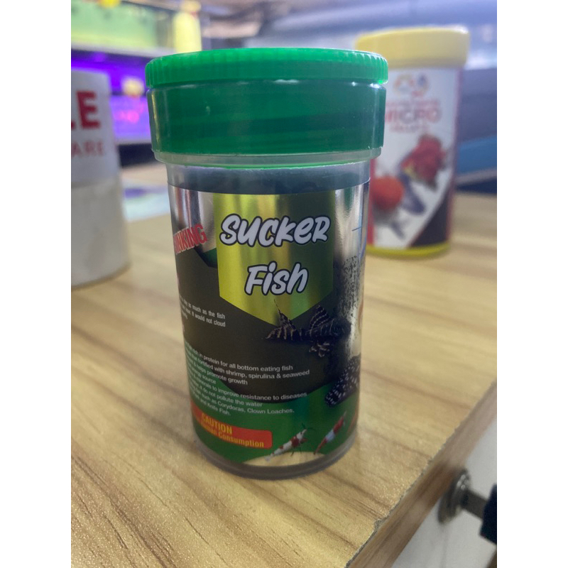 feifong fish pallet(flagtail fish/pleco) | Shopee Malaysia