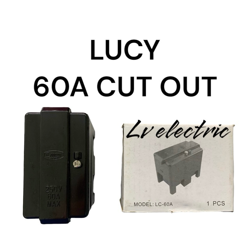 Lucy Type Cut Out Unite With 63A Fuse ForTNB Main Switch House And Shop ...