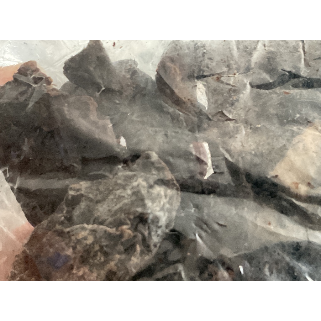 dried marian plum maprang buah kundang (bouea macroplhylla) mayantee ...