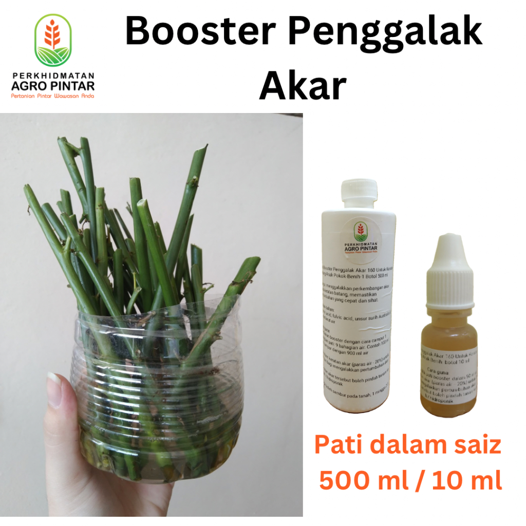 Pati Booster Penggalak Akar 160 Untuk Keratan Batang-Anak Benih-1 Botol ...