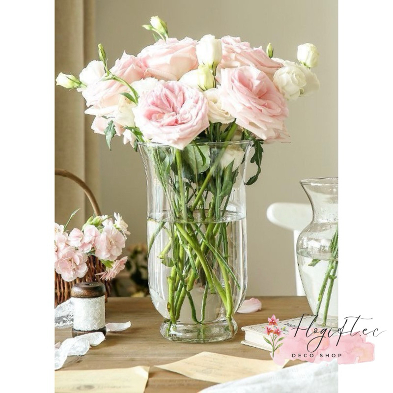 [Flogift.ec] 13cm x 20cm (Height) Transparent Multipurpose Stylish ...